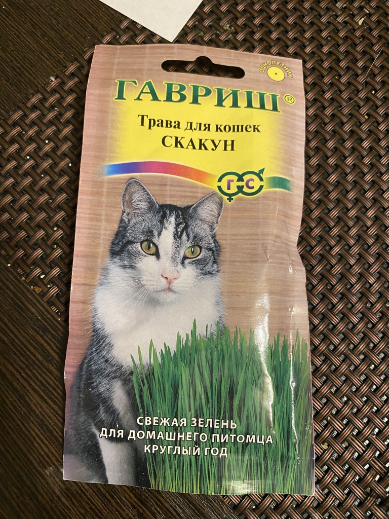 Трава для кошек в дар (Москва). Дарудар