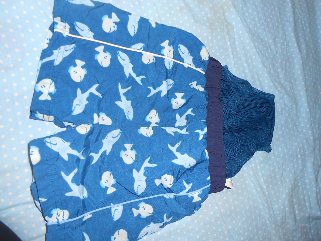 Плавки на мальчика 9-12 мес. в дар (Москва). Дарудар