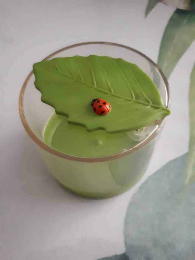 Банка с божьей коровкой в дар (Москва). Дарудар
