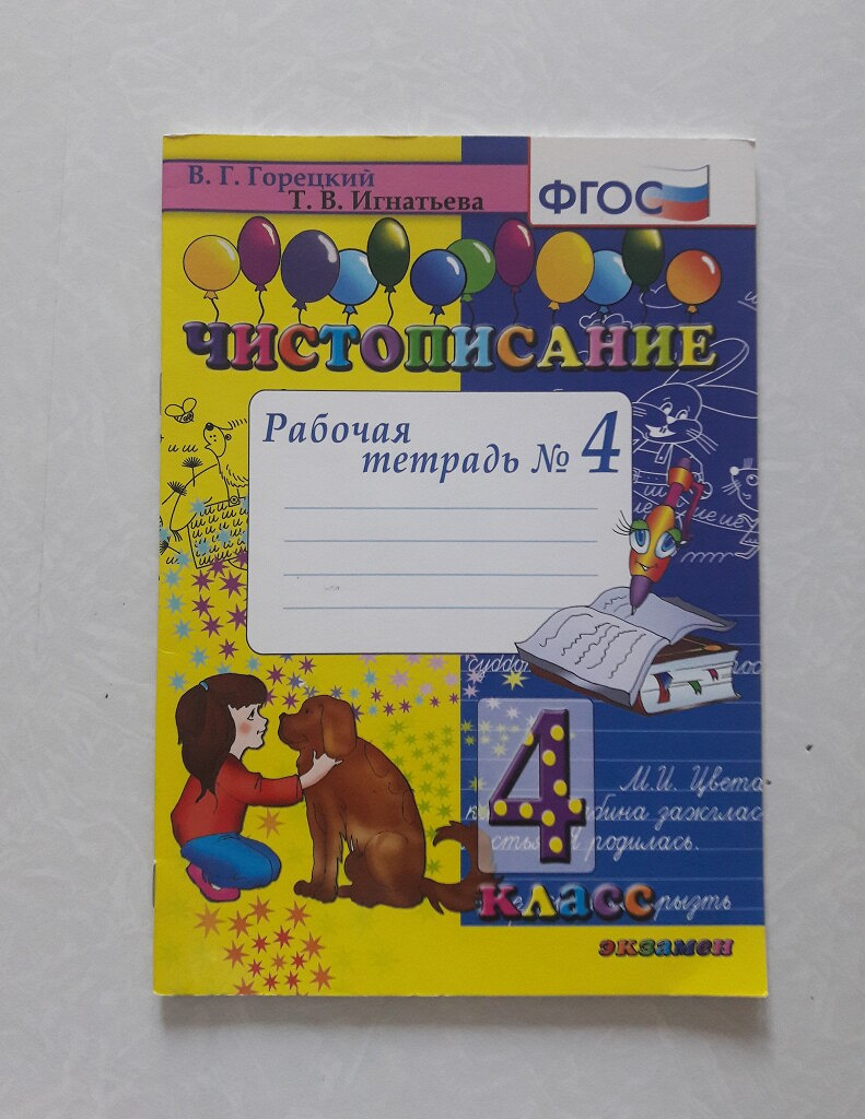 Чистописание (рабочая тетрадь) в дар (Железнодорожный (Московск.)). Дарудар