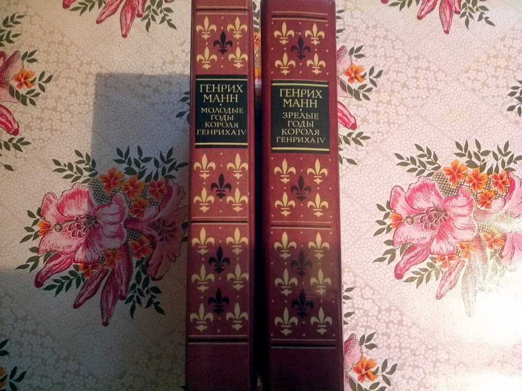 Генрих Манн, исторические романы в дар (Балашиха). Дарудар