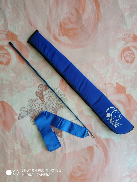 Лента для художественной гимнастики в дар Москва Дарудар