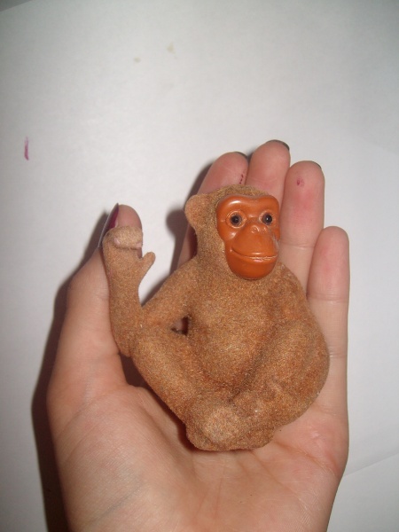Обезьянка в дар (Николаев). Дарудар
