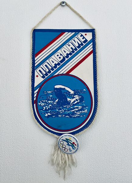 Вымпел спортивный в дар (Москва). Дарудар