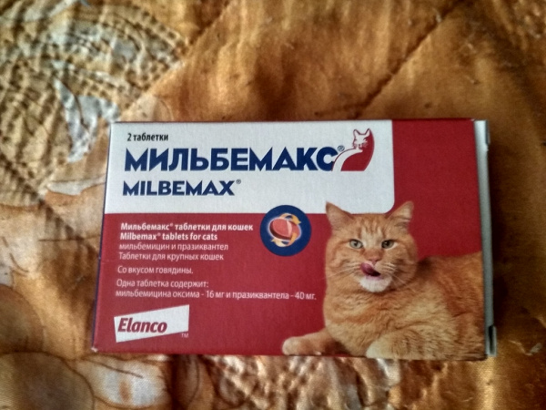 Таблетки для кошек в дар (Москва). Дарудар