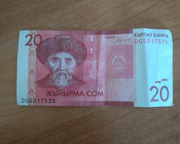 Банкноты Кыргызстана в дар (Омск). Дарудар