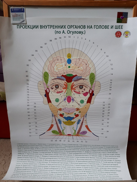 Висцеральная терапия (Огулов) книги + плакаты в дар (Москва). Дарудар