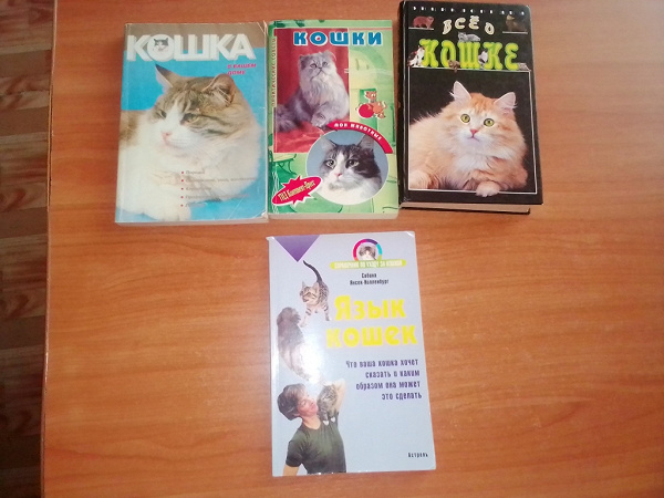 Книги про кошек в дар (Омск). Дарудар